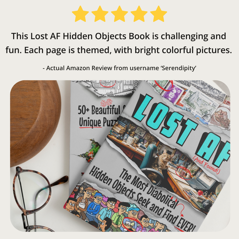 Lost & Found: Hidden Picture Seek & Find Hidden Object Book for Adults ...