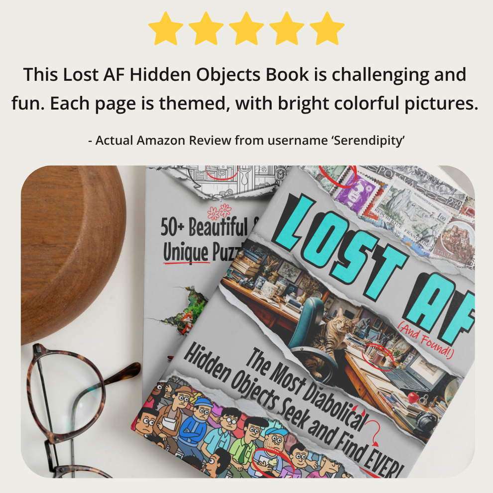 Lost & Found: Hidden Picture Seek & Find Hidden Object Book for Adults ...